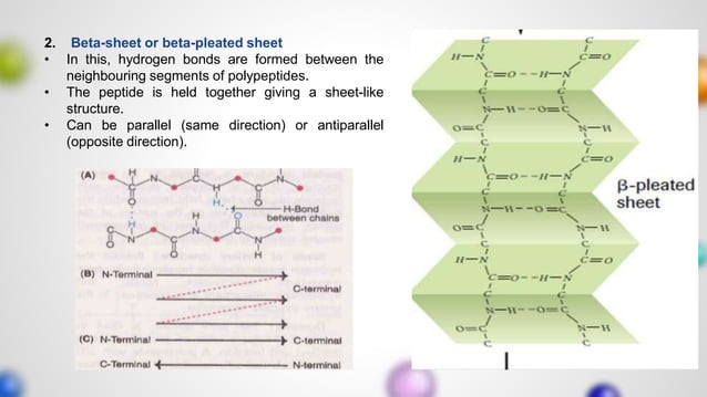 Proteins: Biochemistry | PPTX | Chemistry | Science