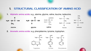 Proteins: Biochemistry | PPTX | Chemistry | Science