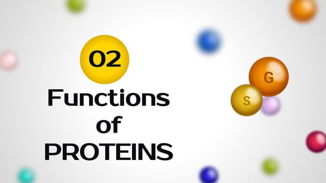 Proteins: Biochemistry | PPTX | Chemistry | Science