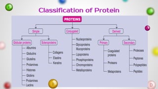 Proteins: Biochemistry | PPTX