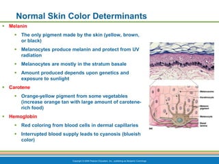 Chapter 3 – Comprehensive Overview of Human Skin Structure, Functions ...