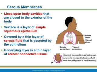 Chapter 3 – Comprehensive Overview of Human Skin Structure, Functions ...