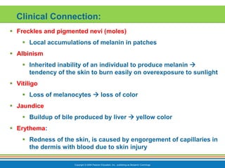 Chapter 3 – Comprehensive Overview of Human Skin Structure, Functions ...