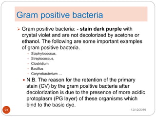 staining in medical laboratory | PPT