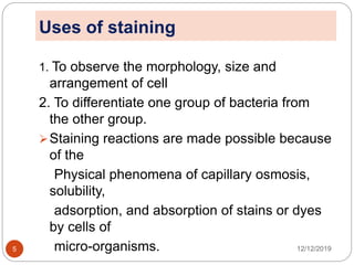 staining in medical laboratory | PPT