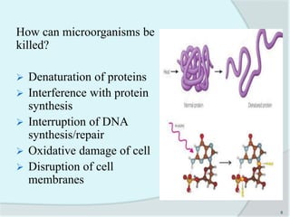 Microbiology lecture, Chapter 3-Sterilization.pdf | Gardening | Home ...