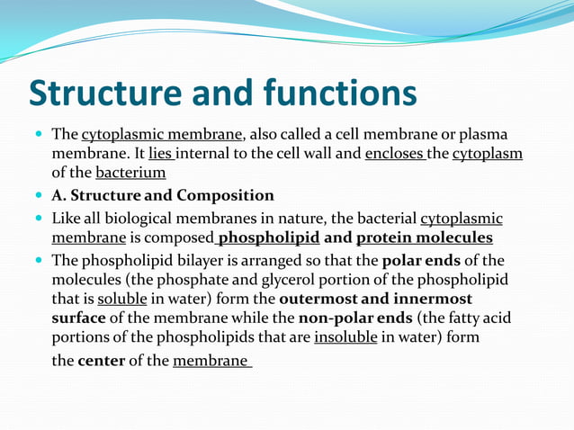 Chapter 3 structure and functions | PPT