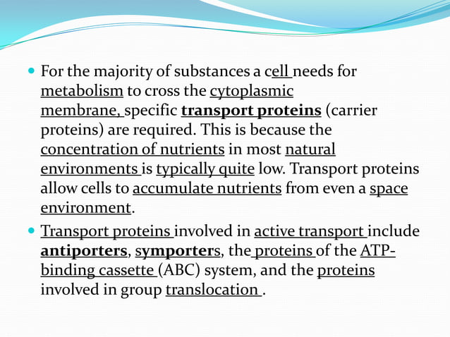 Chapter 3 structure and functions | PPT