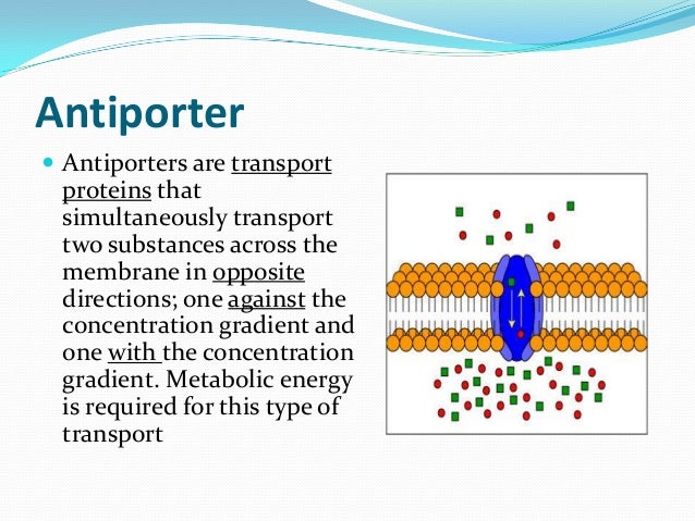 Chapter 3 structure and functions