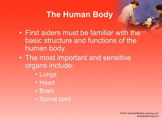 Chapter 3 The Human Body | PPTX