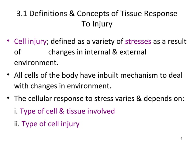 Tissue Response to Injury | PPT