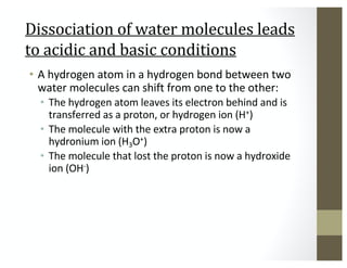 Chapter 3- Water Notes.pdf for ap biology | PDF