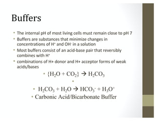 Chapter 3- Water Notes.pdf for ap biology | PDF
