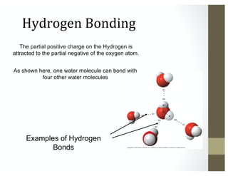 Chapter 3- Water Notes.pdf for ap biology | PDF