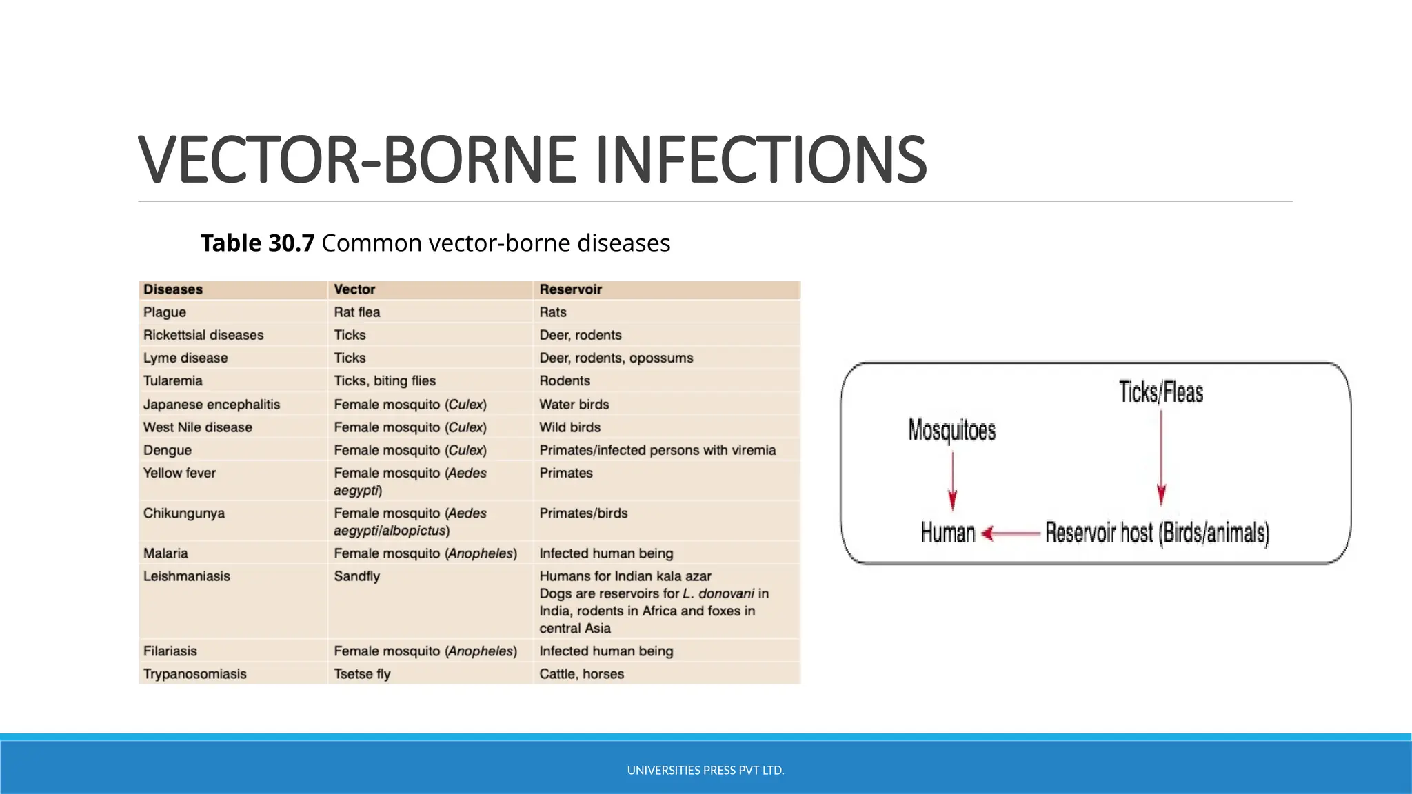 Zoonotic and Vector Borne Infections.pptx