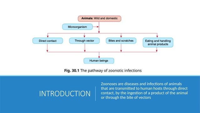 Zoonotic and Vector Borne Infections.pptx