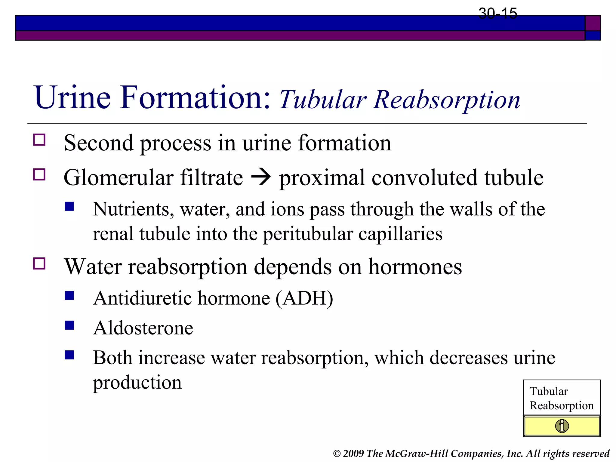 mcgraw hill Chapter 30 the_urinary_system | PPT
