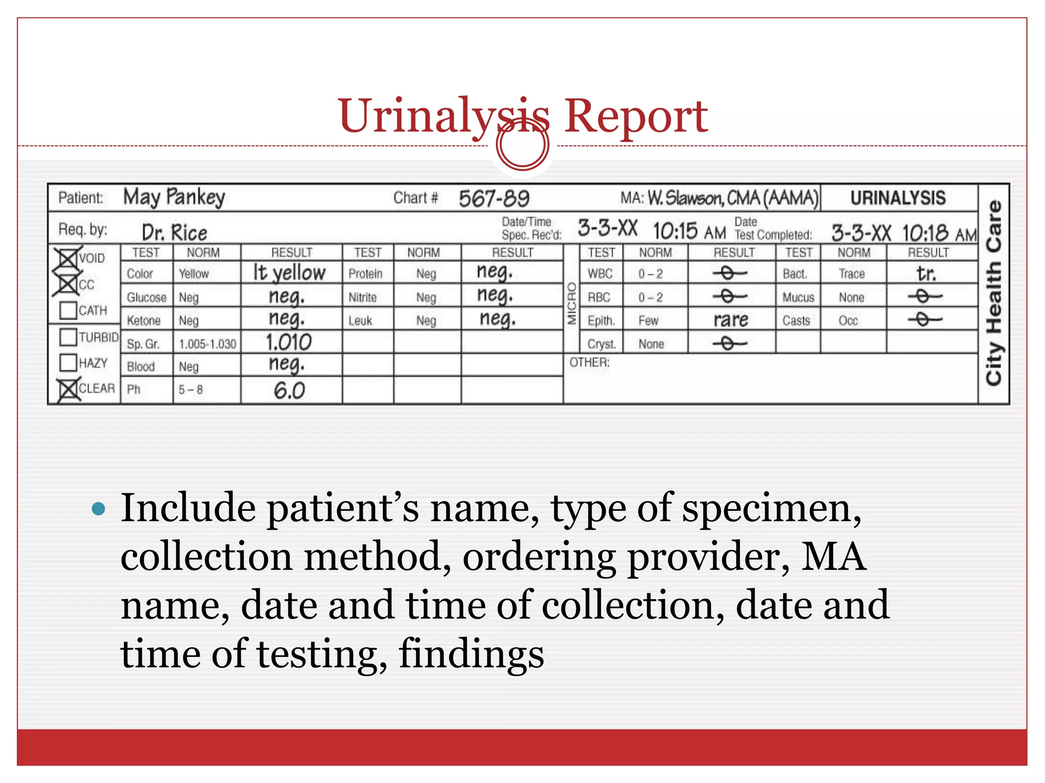 Chapter 30 Urinalysis.ppt