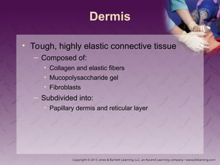 Soft Tissue Trauma for Pre-Hospital Provider | PPT