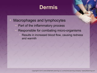 Soft Tissue Trauma for Pre-Hospital Provider | PPT