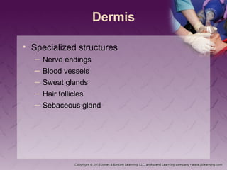 Soft Tissue Trauma for Pre-Hospital Provider | PPT