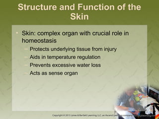 Soft Tissue Trauma for Pre-Hospital Provider | PPT