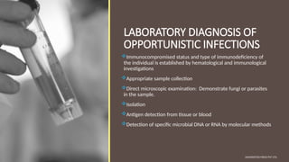 Panicker Microbiology Opportunistic Infections.pptx