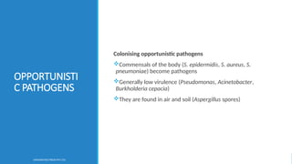 Panicker Microbiology Opportunistic Infections.pptx