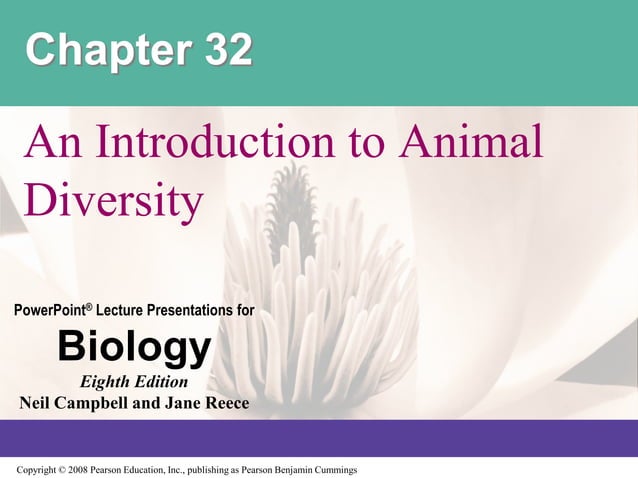 Chapter 32 An Introduction to Animal Diversity.pdf