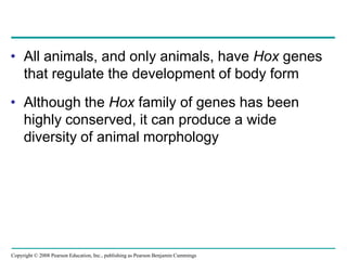Chapter 32 An Introduction to Animal Diversity.pdf