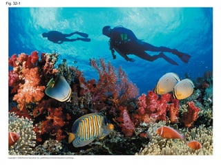Chapter 32 An Introduction to Animal Diversity.pdf