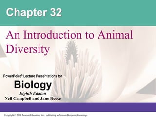 Chapter 32 An Introduction to Animal Diversity.pdf