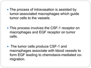 Chapter 32 invasion and metastasis | PPTX