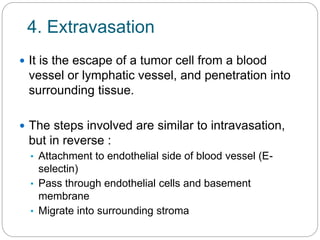 Chapter 32 invasion and metastasis | PPTX