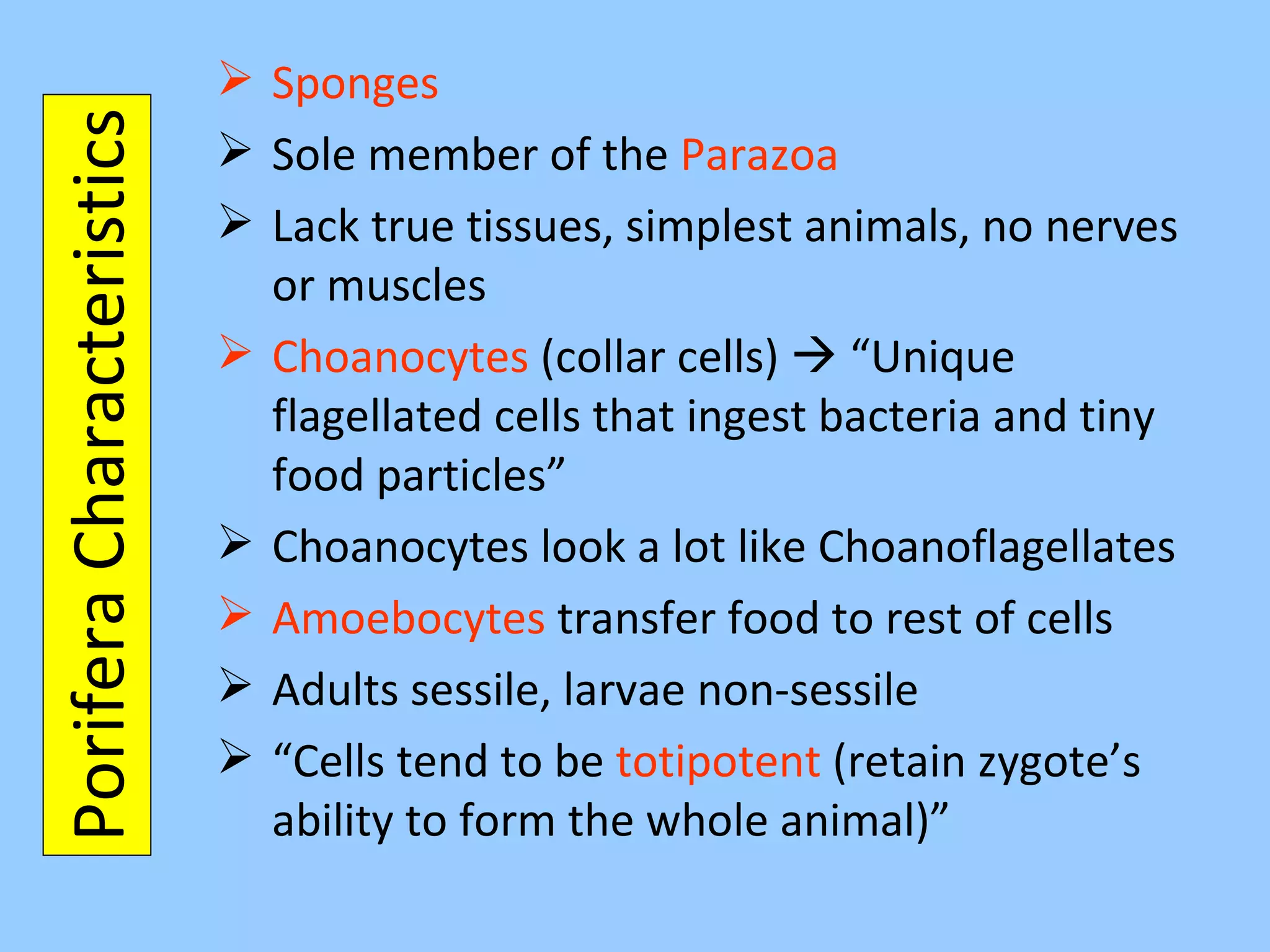 Chapter 33 Part 1 | PPT