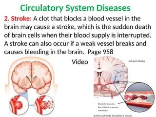 Chapter 33 Power Point Circulatory and Lymphatic Systems.ppt