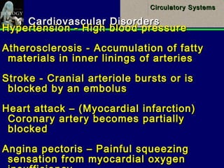 Circulation and Cardiovascular System | PPT