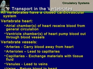 Circulation and Cardiovascular System | PPT