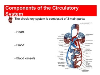 Chapter 34 P1 Circulatory system.ppt