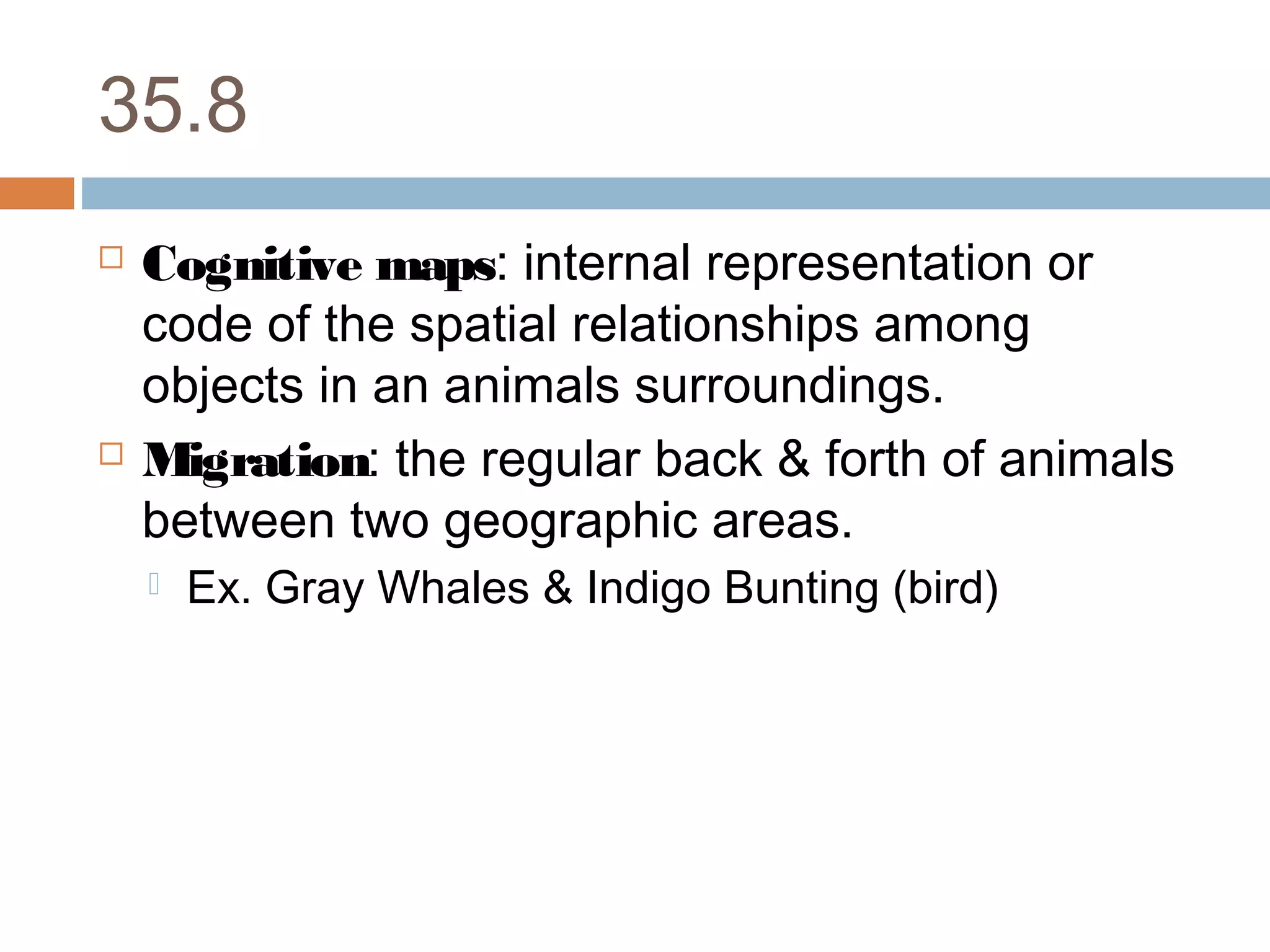 Edna Karr AP Biology Chapter 35 Review | PPT