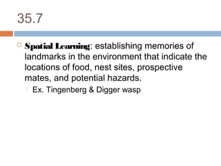 Edna Karr AP Biology Chapter 35 Review | PPT
