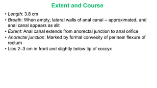 Chapter test for our Anal Canal New.pptx