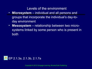 Unit 3: Ecological Systems Prespective | PPT