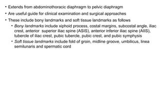 Chapter 38 Surface Marking of Abdomen and Pelvis New.pptx