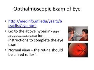 Chapter 39 Nursing Care of the Child with a Disorder of the Eyes or ...