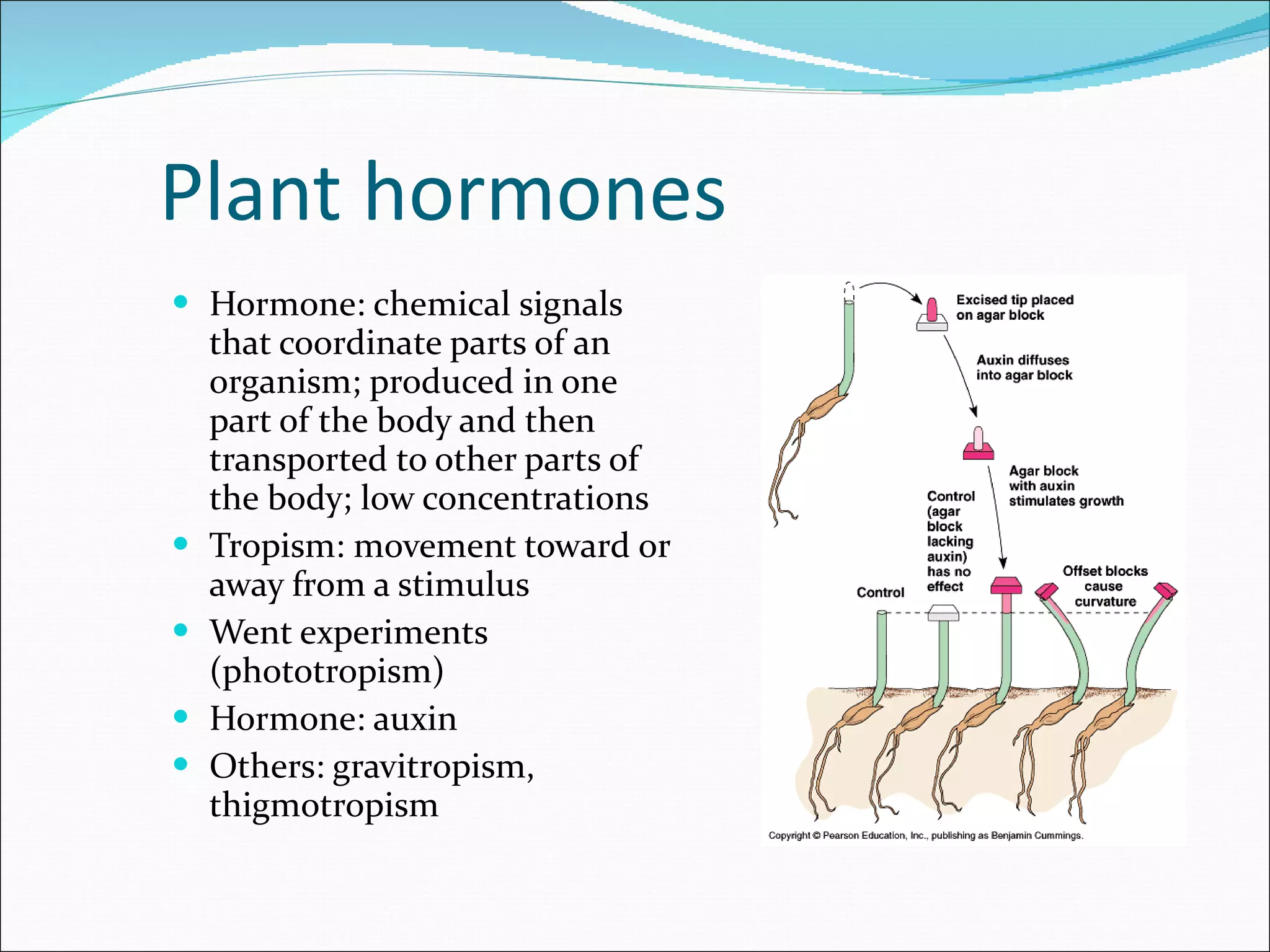 Chapter 39 powerpoint | PPT