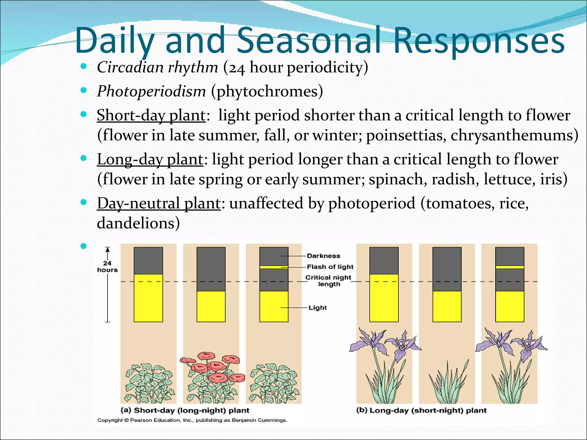 Chapter 39 powerpoint | PPT