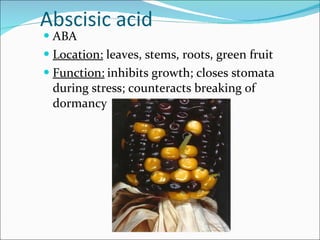 Chapter 39 powerpoint | PPT