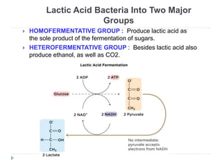Chapter 3 Application of microbes in industrial biotechnology.pptx
