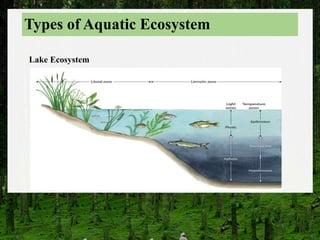 Chapter 3 Aquatic ecosystem..........ppt